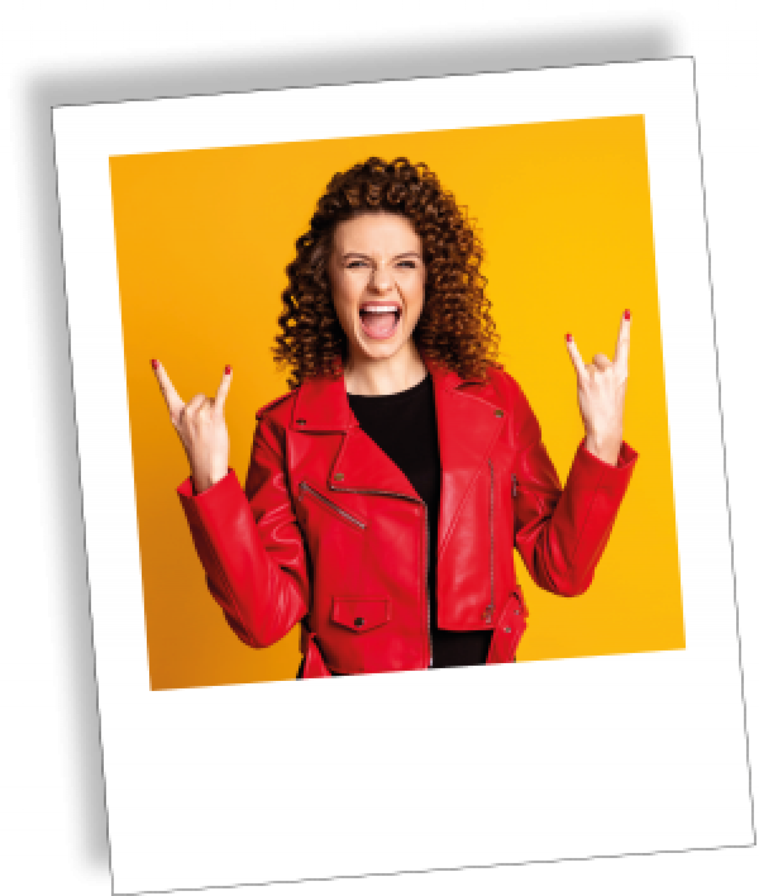 Reflexa Rollladen – Schutz, Design & smarte Technik